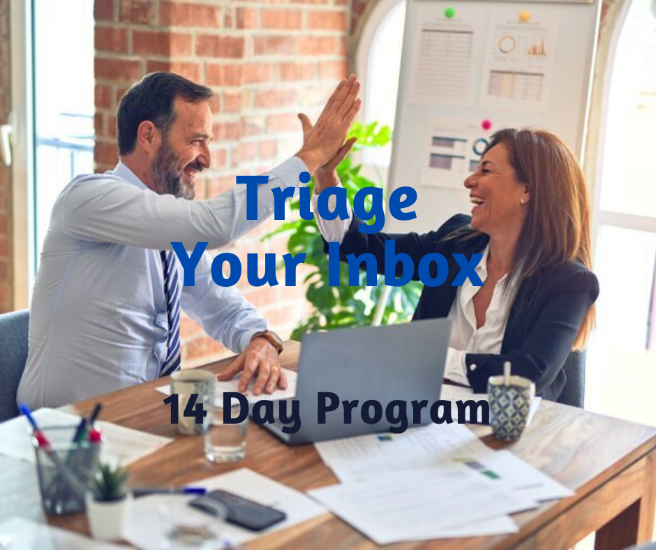 Revolutionise Your Inbox Online Training
